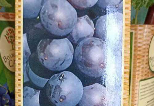 Саженцы винограда "Вкуснейший", сорт универсальный
