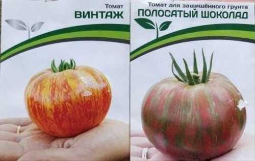 Рассада томатов (излишки)