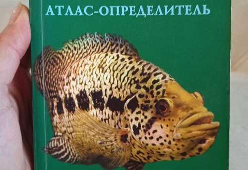 Цихлиды. Атлас-определитель. Дэвид Э. Боруховец