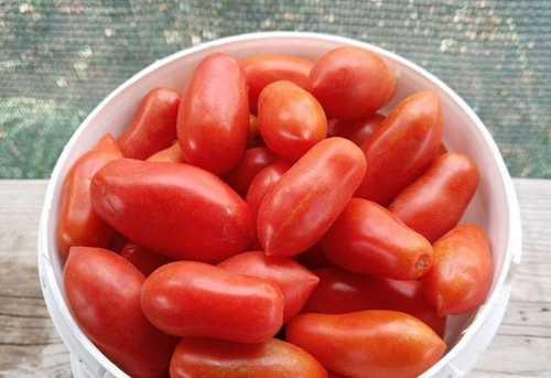 Семена томатов и перцев коллекционных