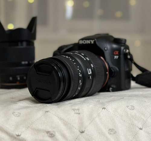 Sony Alpha SLT-A77 body