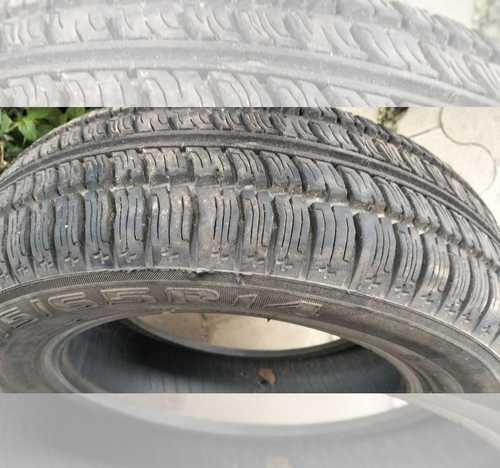 КАМА Кама-217 19.5/65 R14