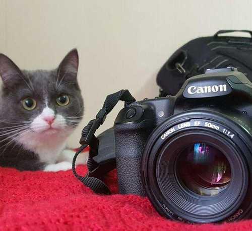 Зеркальный фотоаппарат Canon EOS 40d body