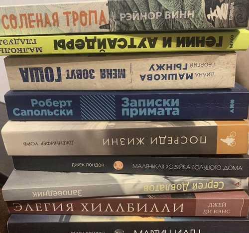 Книги из Фикс прайса