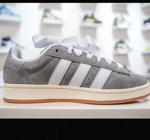 Кроссовки adidas campus OOS