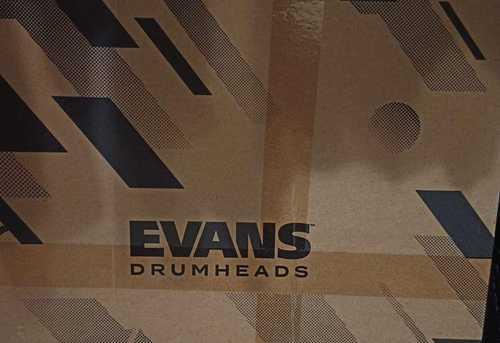 Evans drumheads