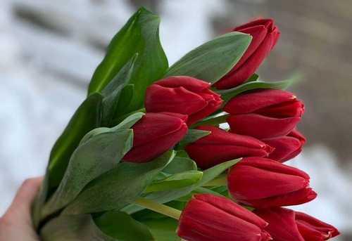 Доставка цветов Тюльпаны