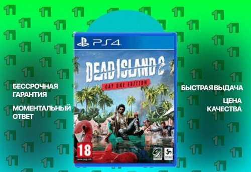 Red Dead Redemption 2 (PS4/PS5) Омск