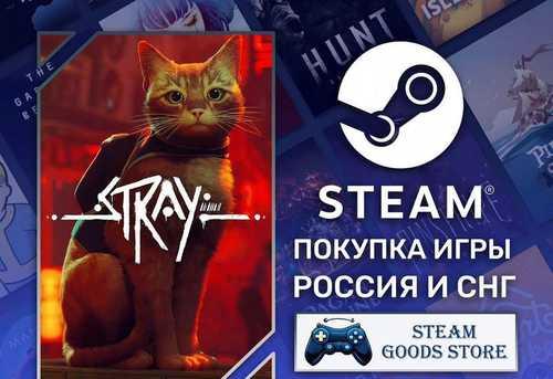 Stray (Steam)