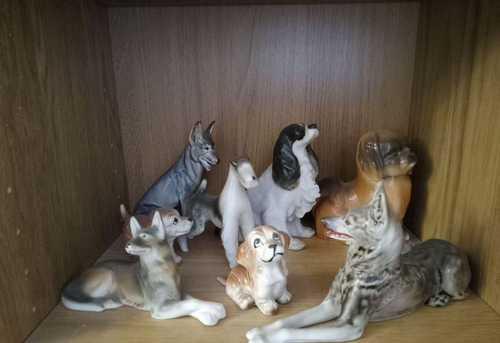 Статуэтки керамика коллекционные собачки, 8 шт