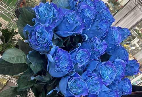 Синие розы из Эквадра