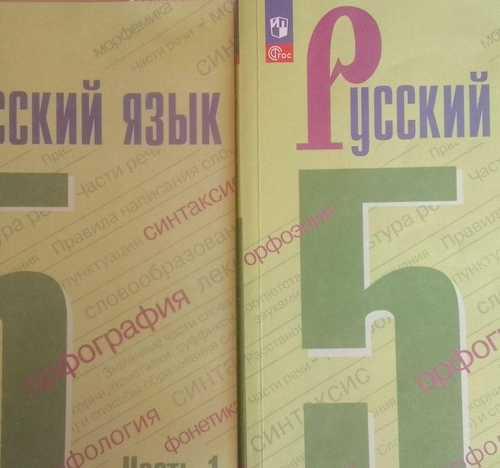 Учебник по русскому языку 5 класс Ладыженская