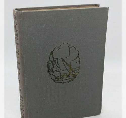 Щедрин, С.Ф. Письма из Италии 1932