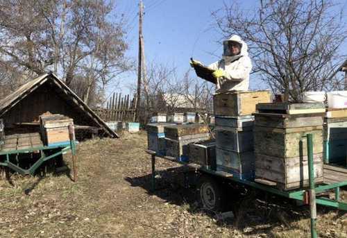 Телега для перевозки пчел