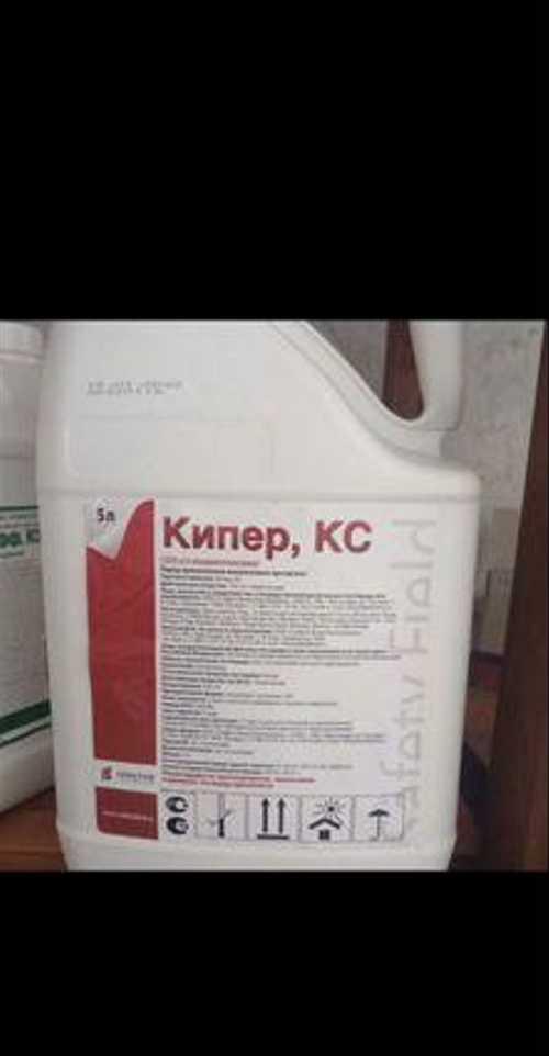 Кипер кс