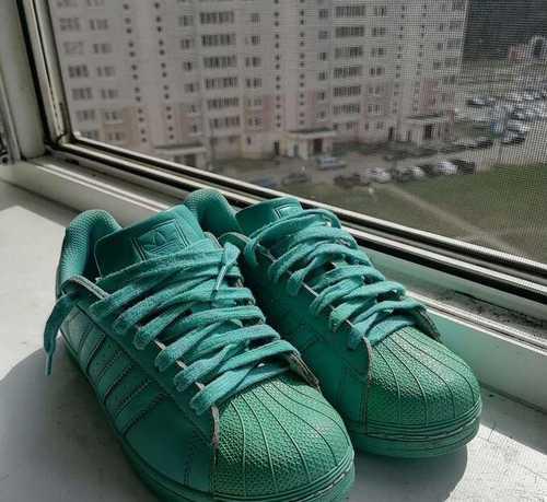 Adidas superstar x Pharrell Williams