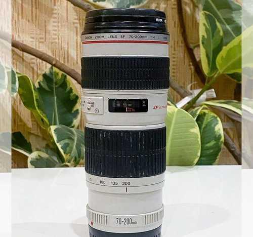 Объeктив Canon 70-200/4.0 usм   uv фильтр hoya