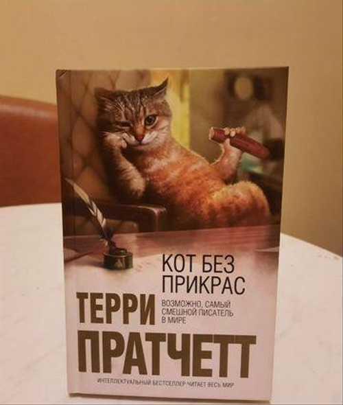 Кот без прикрас Терри Пратчет