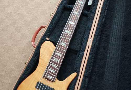 Bass 6 st., Golden light "