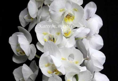Орхидея белая бабочка