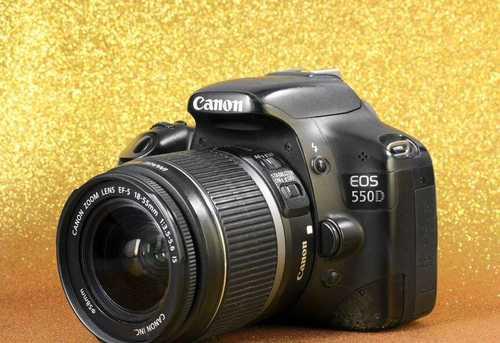Комплект новичка Canon 550D