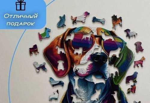 3D пазлы смышленая собака
