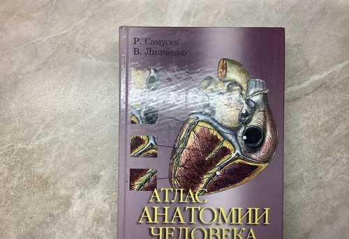 Серебряная кладовая. Атлас анатомии. Самусев