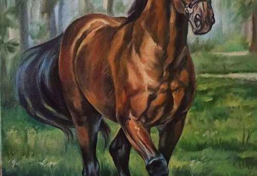 Картина бегущая лошадь, Красавчик "