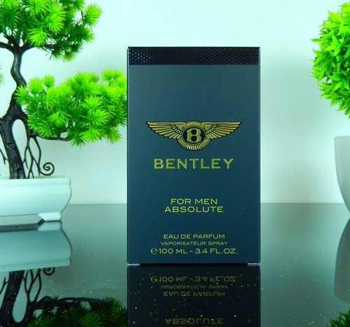 Bentley Absolute For Men