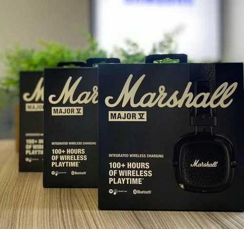 Marshall Major 5 (Новые   Гарантия)