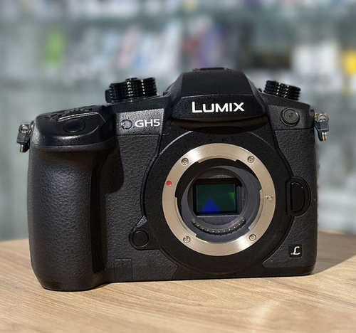 Зеркальный фотоаппарат Panasonic Lumix G DC-GH5