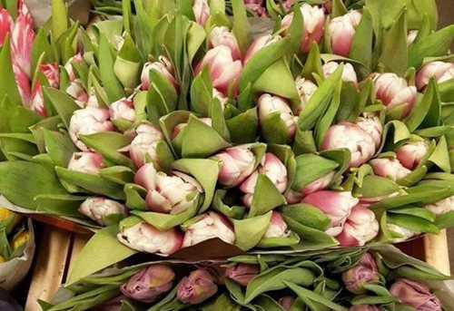 Тюльпаны ко дню всех влюбленных букет