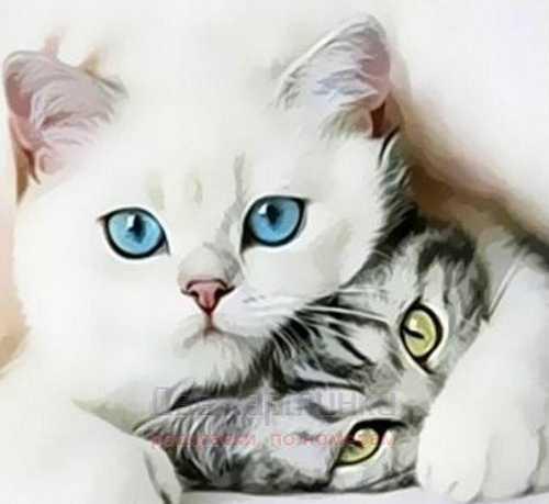 Картина по номерам 40x50 Игривые котята под одеяло