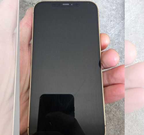 iPhone 12 Pro Max, 256 ГБ