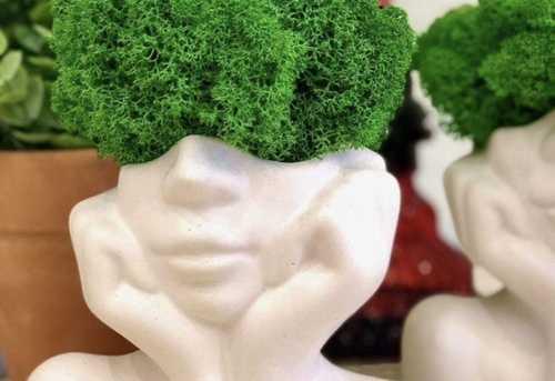 Кашпо со мхом Мечтательница