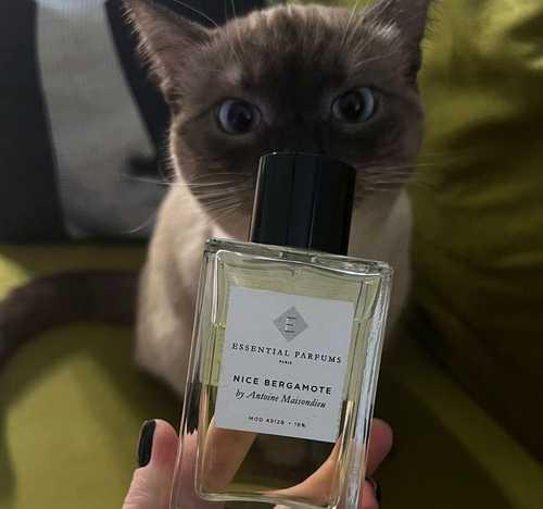 Essential parfums nice bergamote