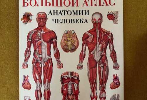 Книга анатомия человека