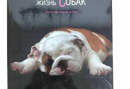 Книга Жизнь собак
