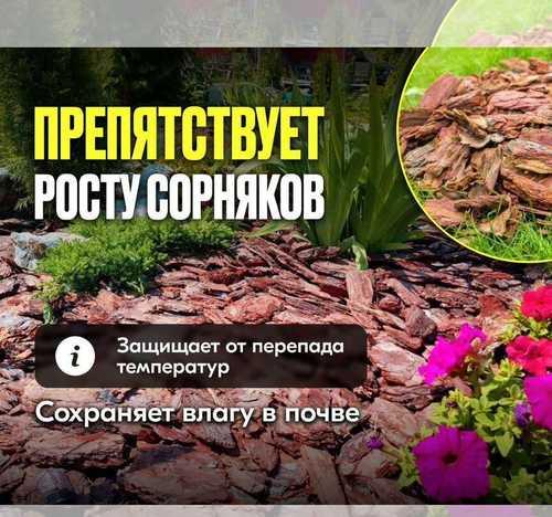 Мульча лиственницы и сосны