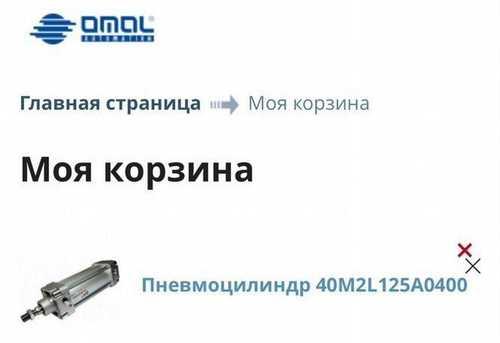 Пневмоцилиндр Camozzi 40M2L125A0400
