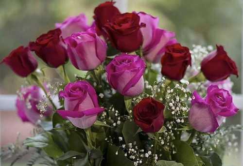 Розы Букеты Цветы 101,51 с доставкой