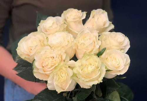 Высокие розы букет белых роз 11 шт