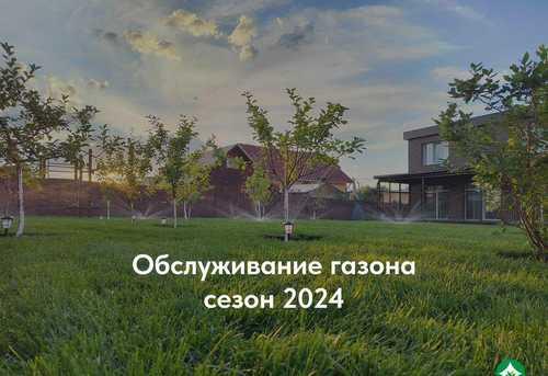 Газон рулонный, обслуживание газона после зимы