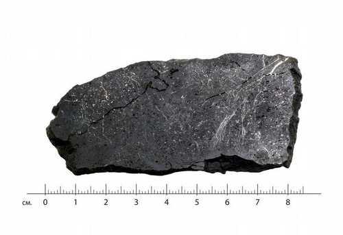 Пластина каменного метеорита Царев