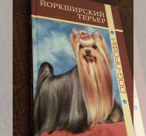 Йоркширский терьер