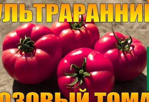 Семена Ультраранний розовый томат Эрай F1(Турция)