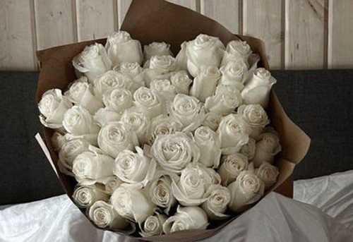 51 белая роза, букет белых роз, белые розы