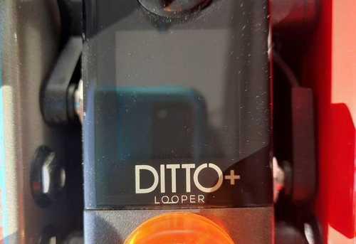TC Electronic ditto+ looper