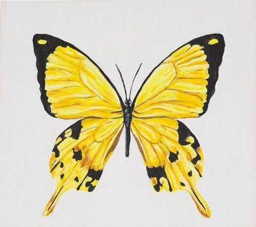 Картина Бабочка Монарх желтая