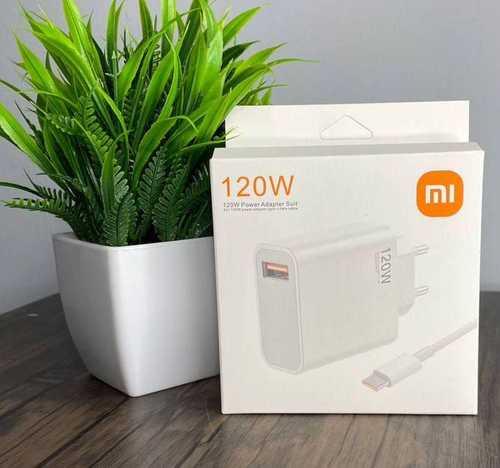 Xiaomi Power Adapter (120W)